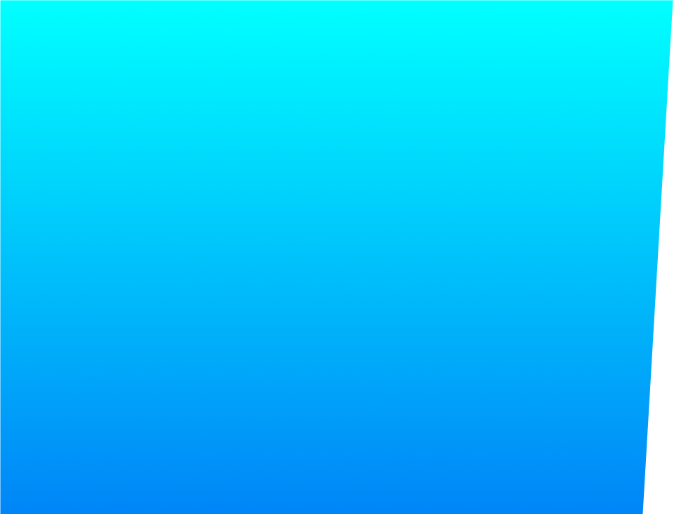 THOMAS Group – Website