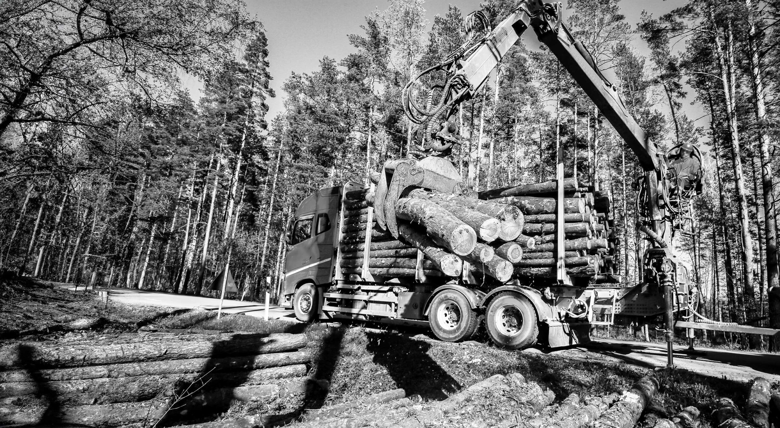 Off Highway Solutions – Applikation Forstmaschienen – THOMAS Group